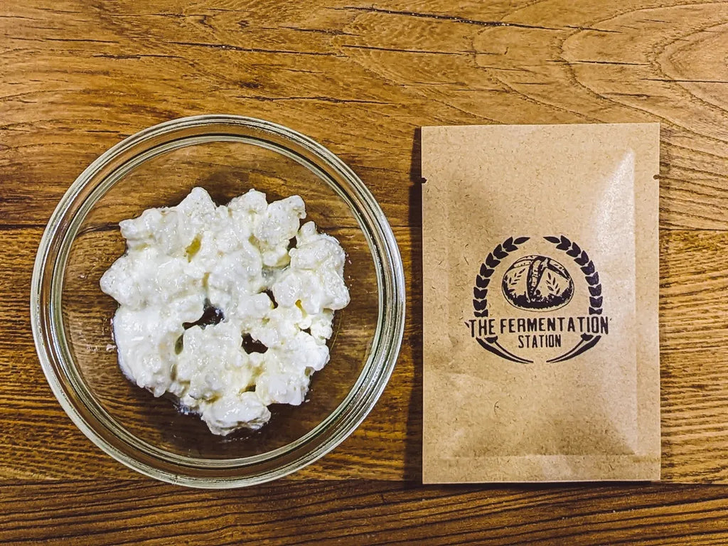 Milk Kefir Grains – The Fermentation Station